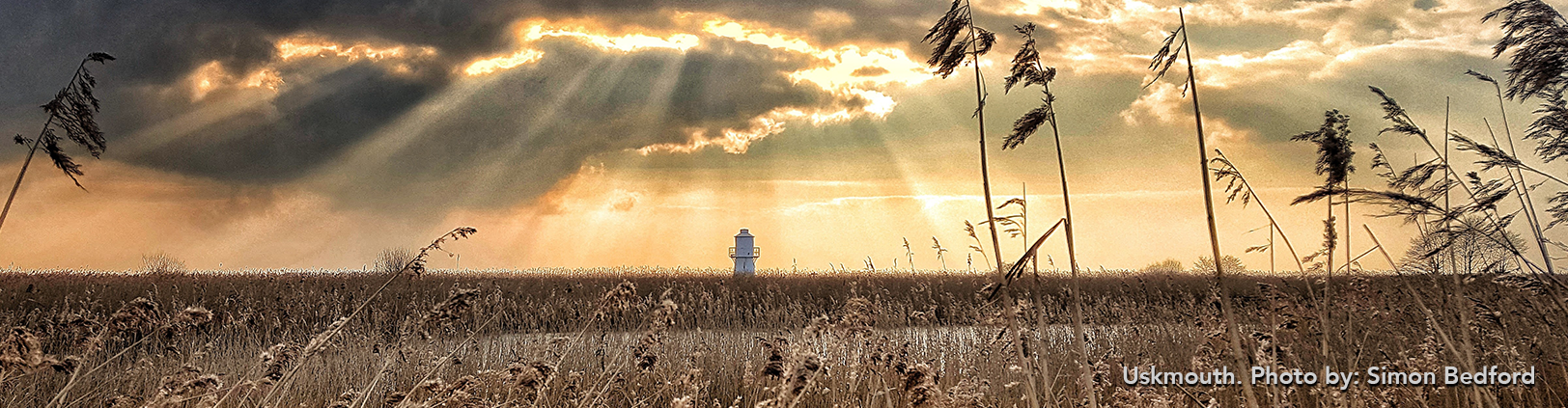 Uskmouth. Photo by- Simon Bedford – Gwent Ornithological Society
